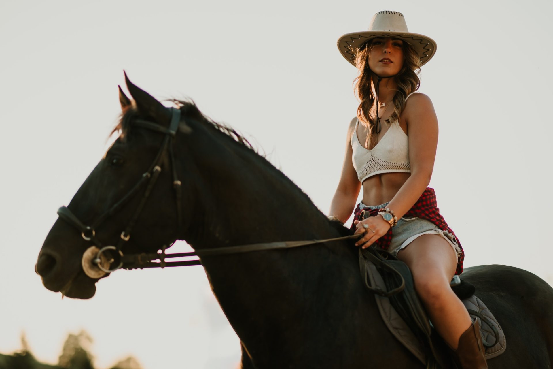 How to Start a Ranch: Your Ultimate Guide to Building a Successful ...