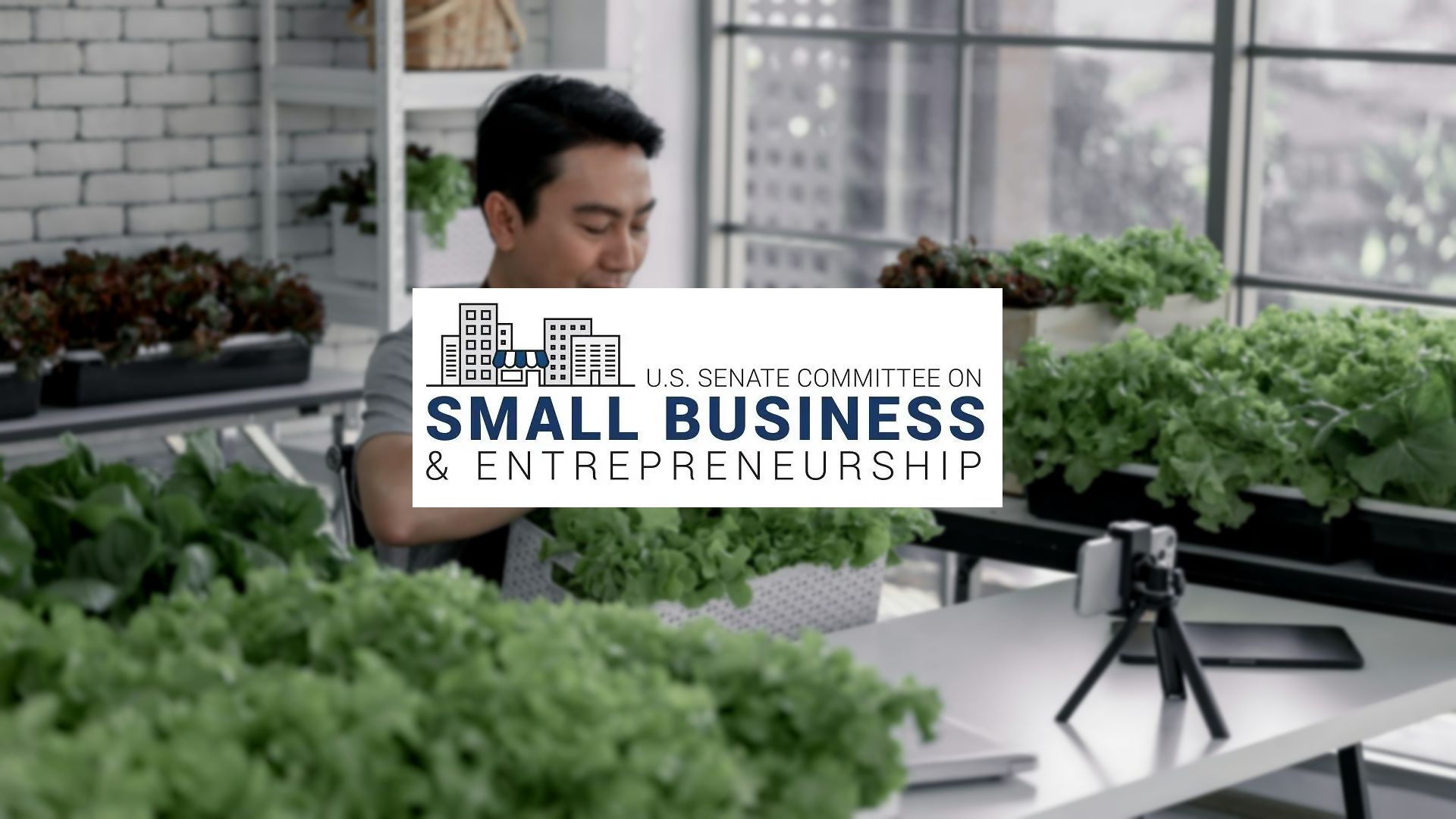 New Bill from Markey, Velázquez, and Others Aims to Streamline Small ...