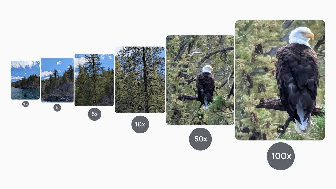 Google Pixel Unveils Stunning Images Showcasing Revolutionary Zoom ...