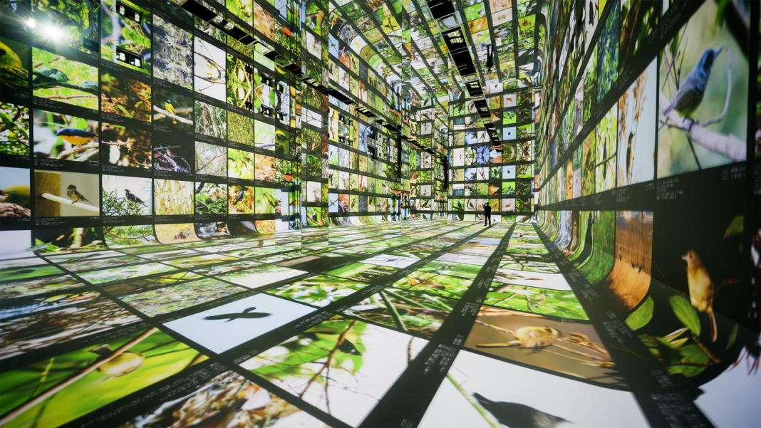 Google Gemini Powers Dataland: The First Museum Dedicated to AI Art